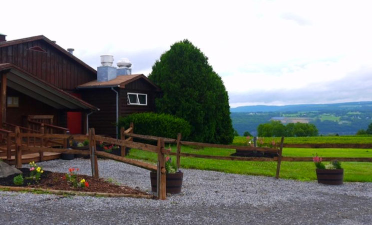 The Best Wine Regions to Visit this Autumn